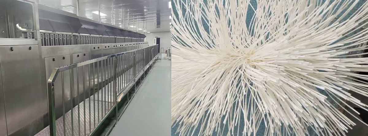Comprehensive Analysis of Hollow Fiber Membrane Filtration in Blood ...