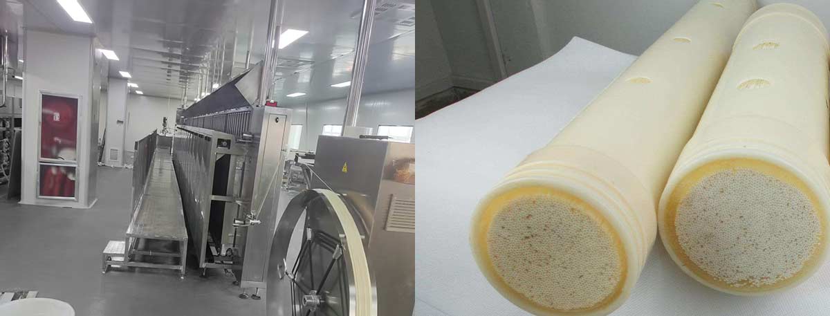 Unlocking Enzyme Power with Hollow Fiber Reactor - HFSM