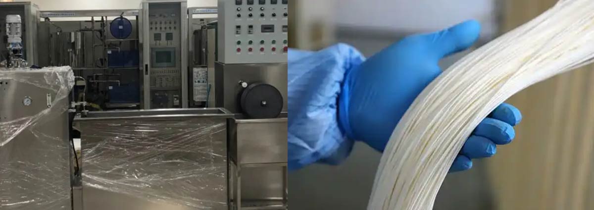 What Are the Key Applications of Hollow Fiber Perfusion in ...