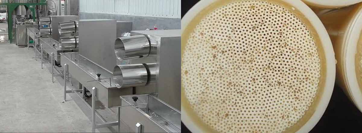 Hollow Fiber Perfusion Bioreactor Makes Cell Growth Easy - HFSM